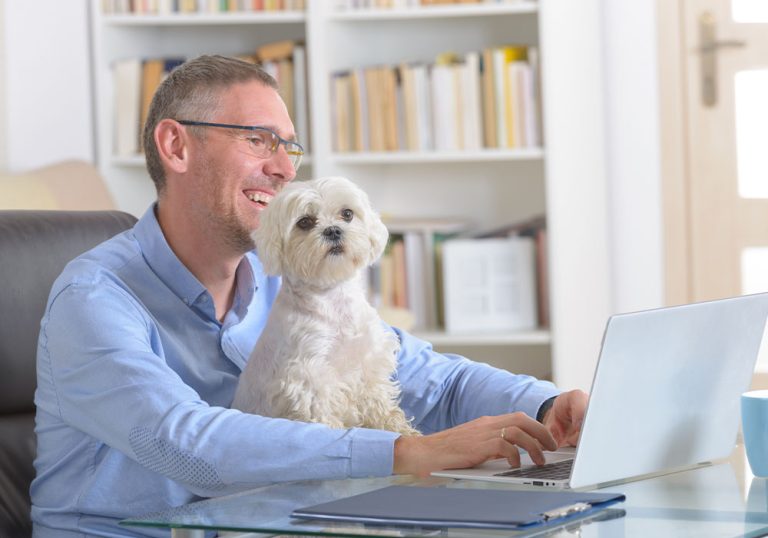 Client Management for Pet Care Service - Petlinx