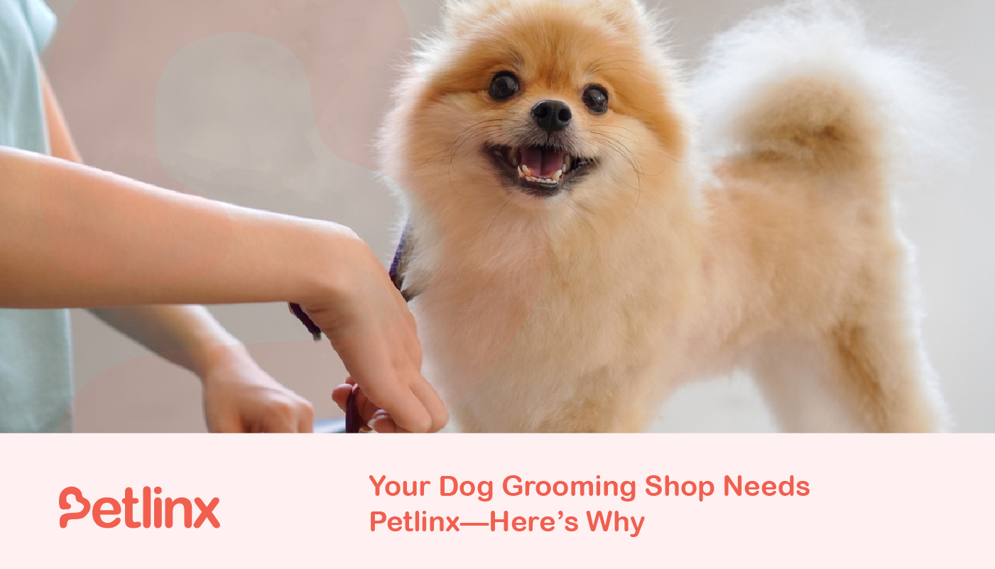 Your Dog Grooming Shop Needs Smart Software—Here’s Why